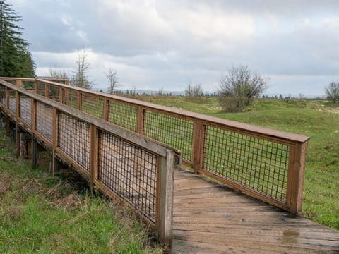 Custom Wooden Ramps for Affordable Accessibility